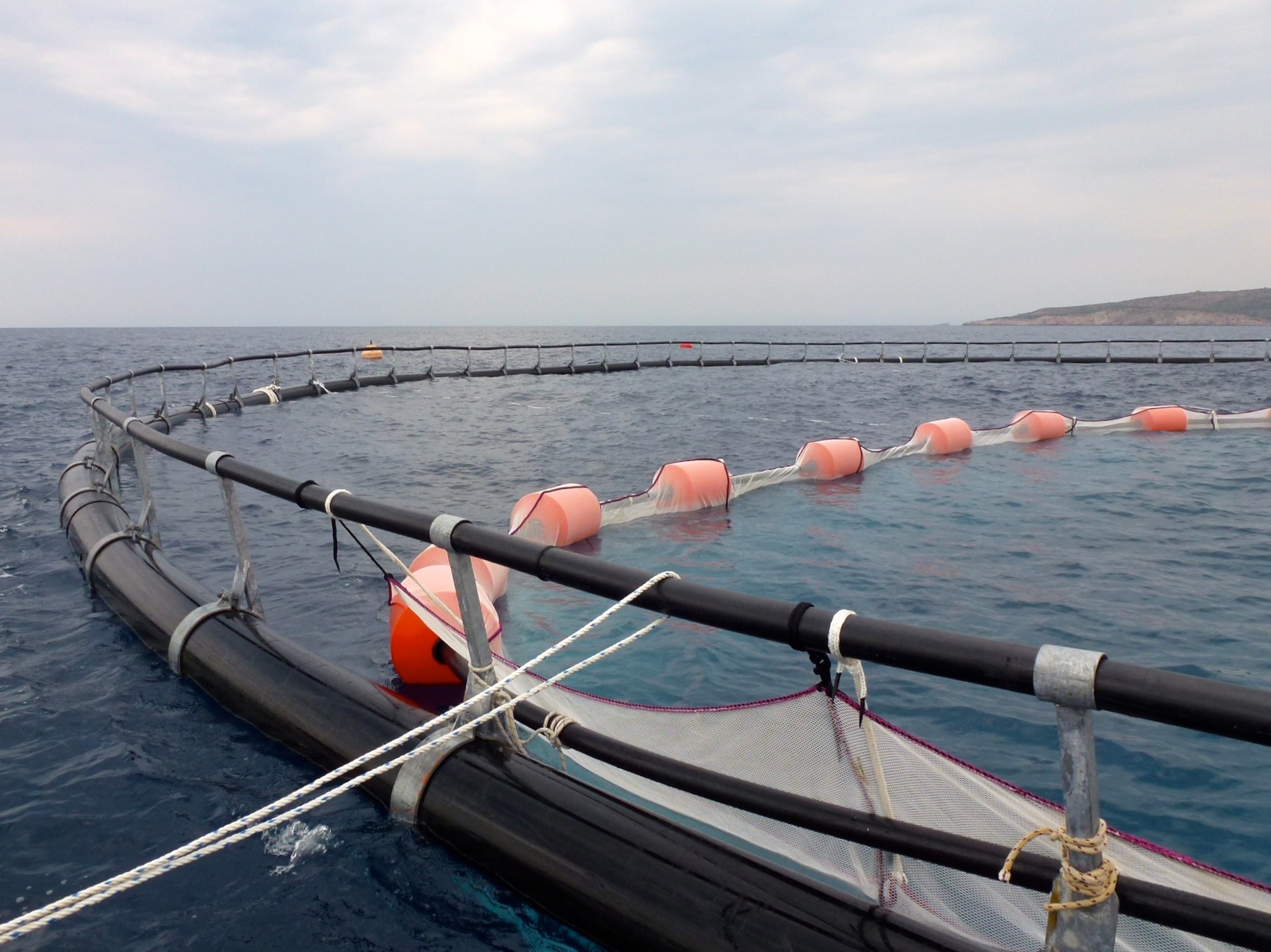 Stamatiou Aquaculture | Cage Nets